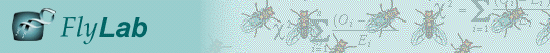 FlyLab