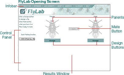 FlyLab Help